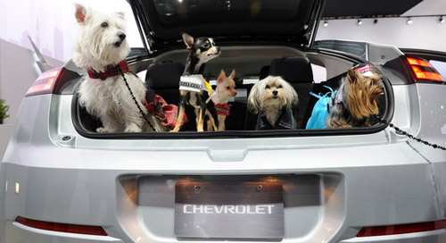 GM Goes to the Dogs at New York Auto Show